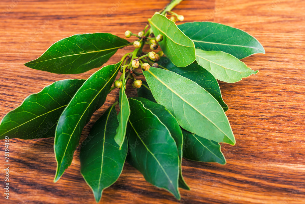 branches of laurel leaves on a brown wooden board foto de Stock | Adobe ...