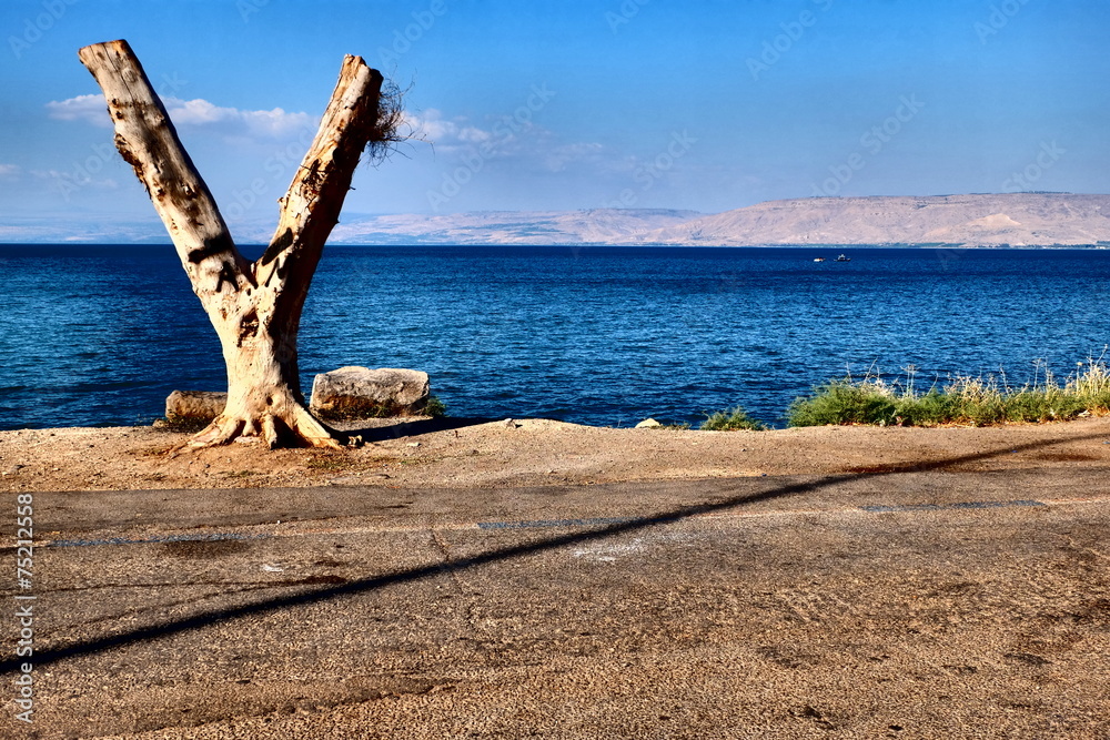 Lac de Tibériade, Israel Stock Photo | Adobe Stock