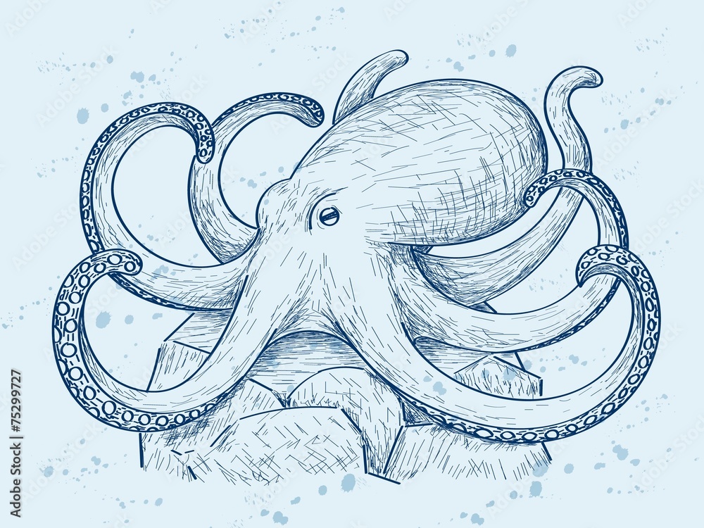 Angry Octopus Drawing