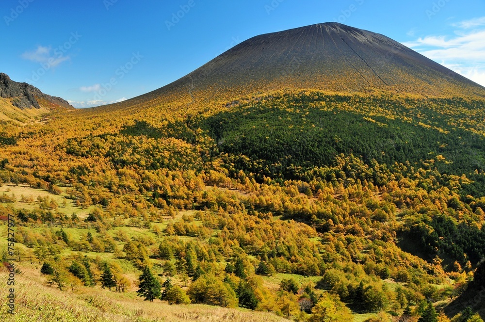 浅間山とカラマツの黄葉 Stock 写真 | Adobe Stock