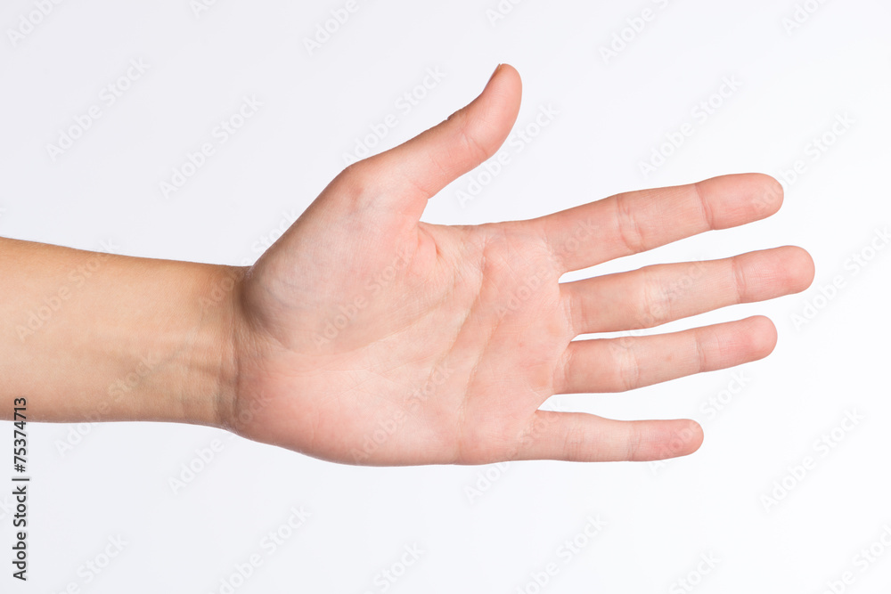 Linke Hand einer Frau Stock-Foto | Adobe Stock