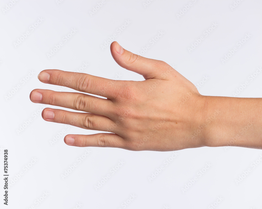 Linke Hand einer Frau Stock-Foto | Adobe Stock