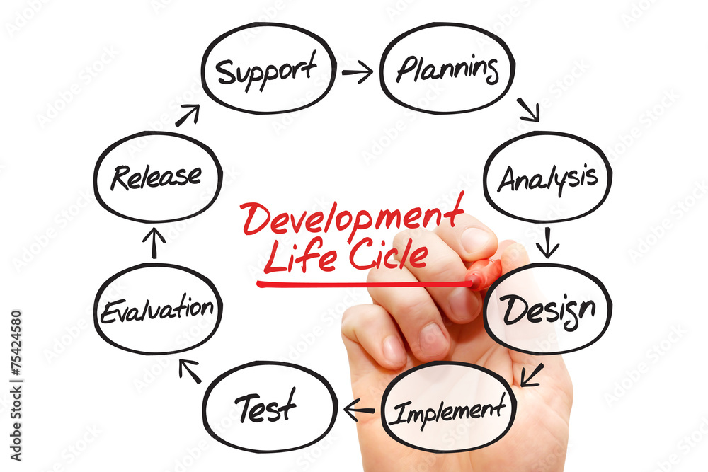 Hand drawn flow chart of life cycle development process Stock Photo ...