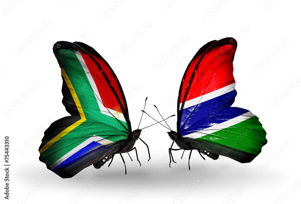 Two butterflies with flags South Africa and Gambia Stock Illustration ...