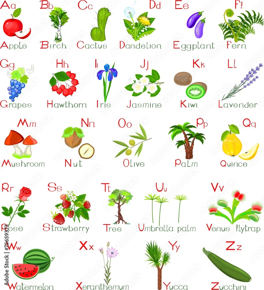 Plants alphabet Stock Vector | Adobe Stock