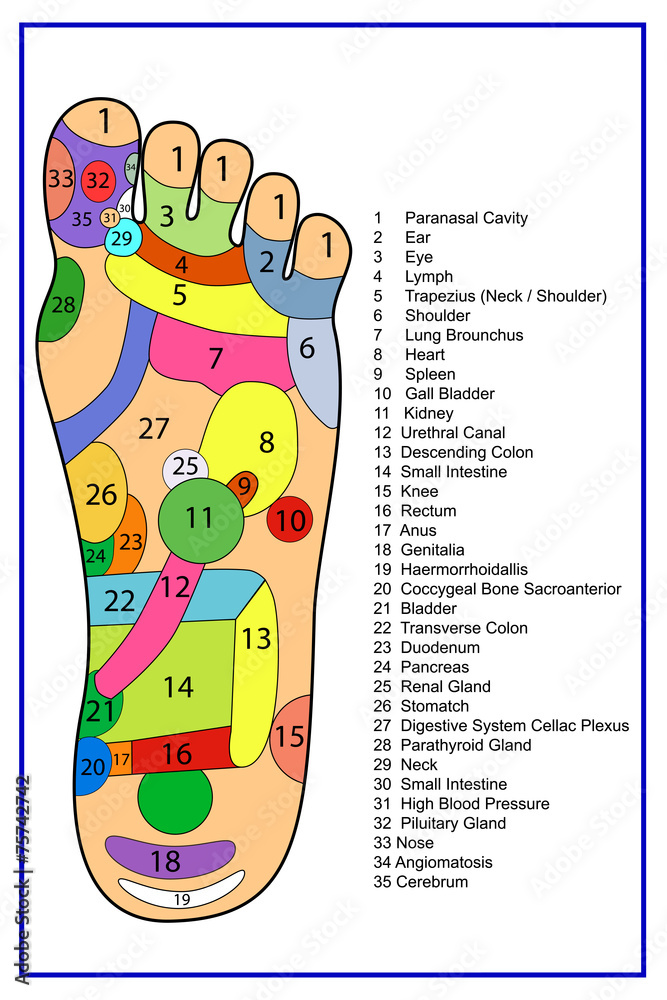 Traditional alternative heal, Acupuncture - Foot Scheme Stock ...
