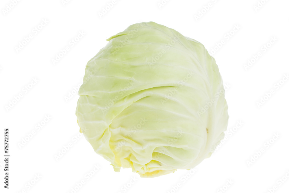 Cabbage isolated on white background Stock Photo | Adobe Stock