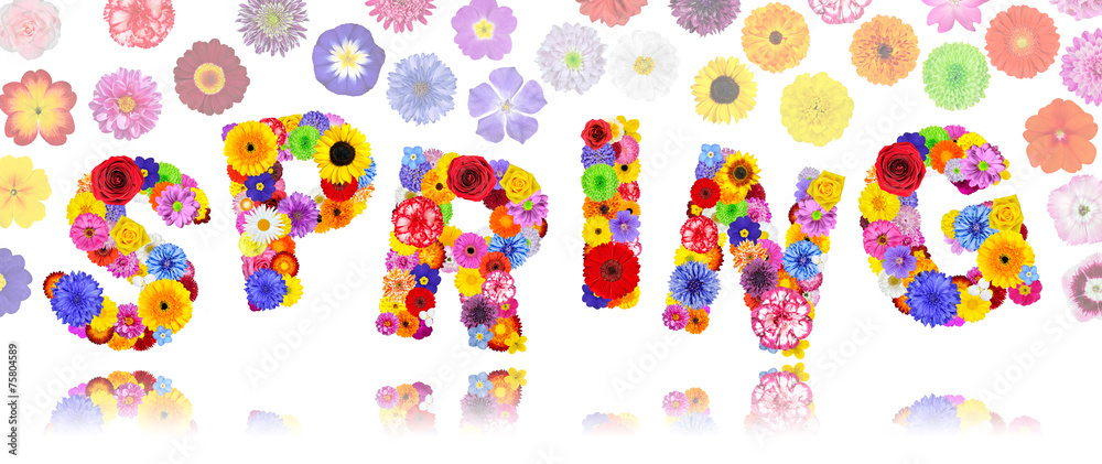 Word Spring Made of Colorful Flowers Isolated Stock Photo | Adobe Stock