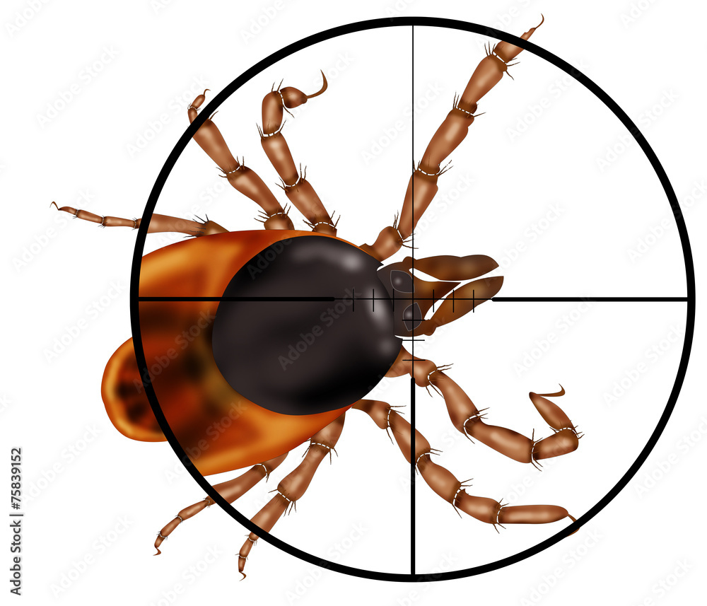kill insects, machine gun, sight, target, Stock Illustration | Adobe Stock