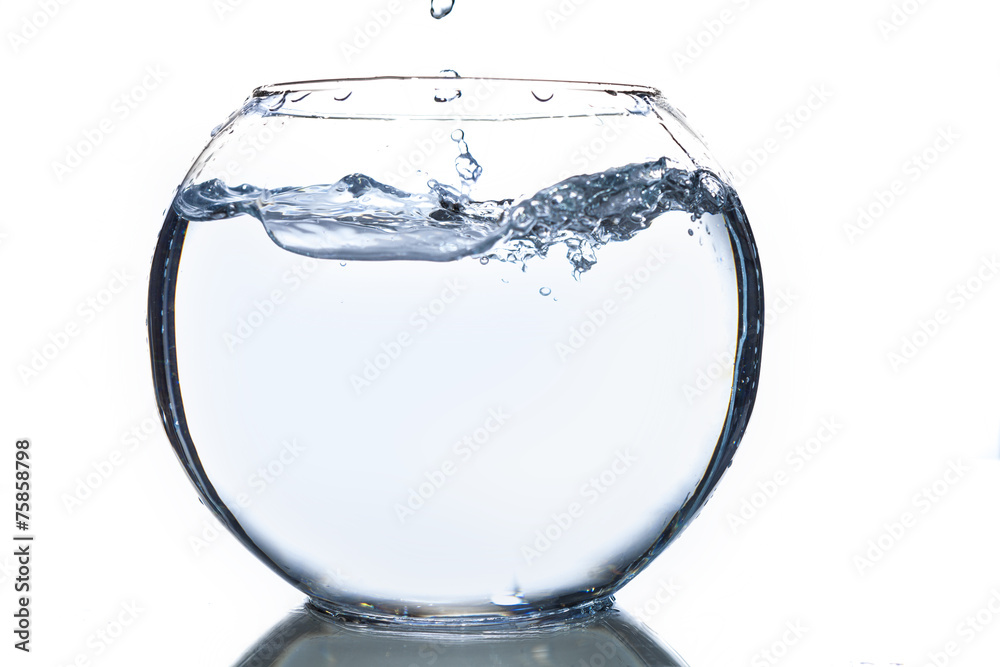 Water Stock Photo | Adobe Stock