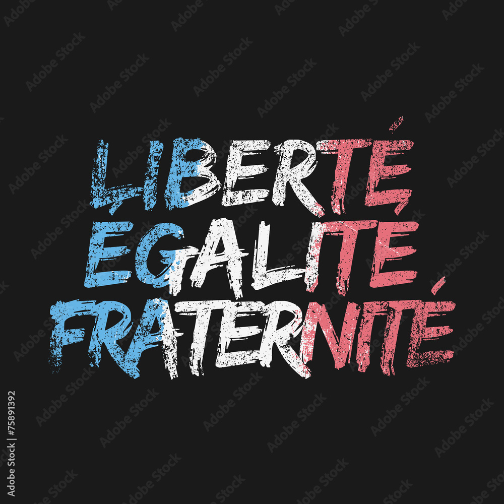 Liberte Egalite Fraternite Poster