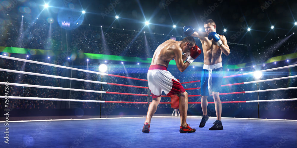 Two professionl boxers are fighting on arena Stock Photo | Adobe Stock