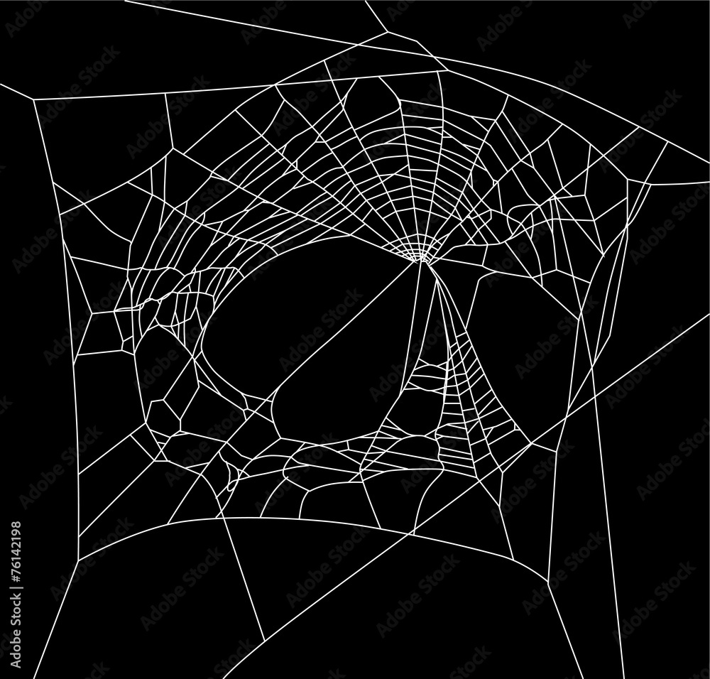 spider web with hole isolated on black Stock Vector | Adobe Stock