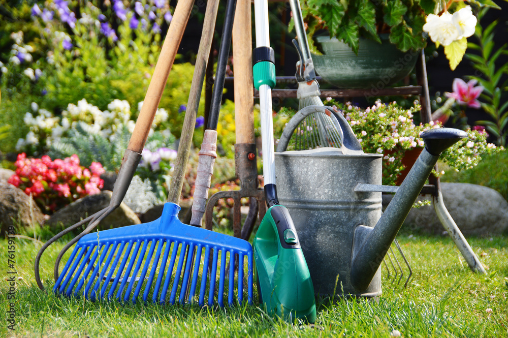 Watering can and tools in the garden Stock Photo | Adobe Stock