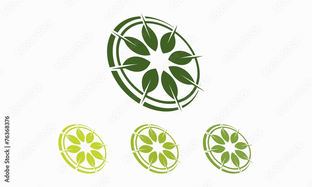 Leaf Compass Logo v.2 vector de Stock | Adobe Stock