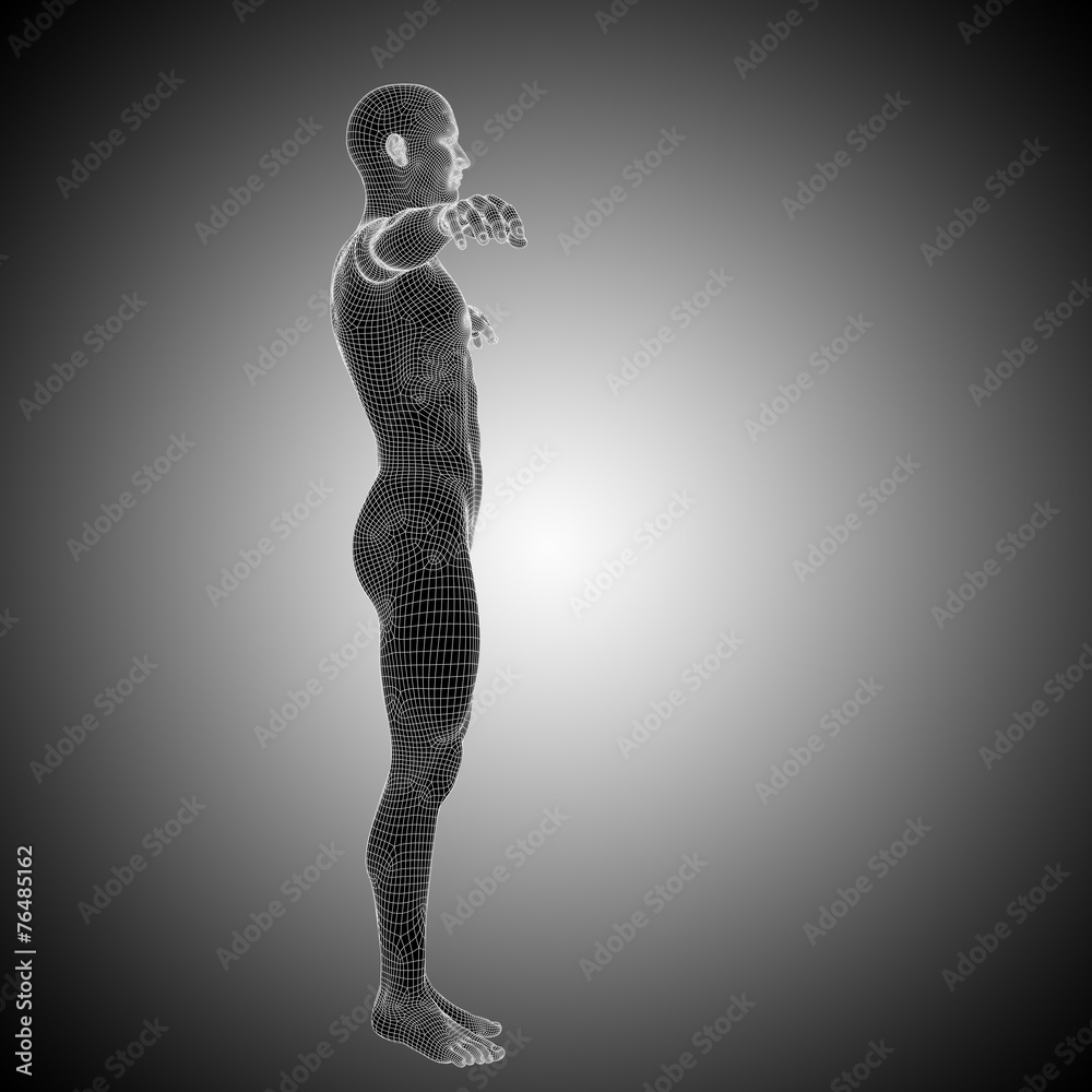 Conceptual wireframe human anatomy Stock Illustration | Adobe Stock