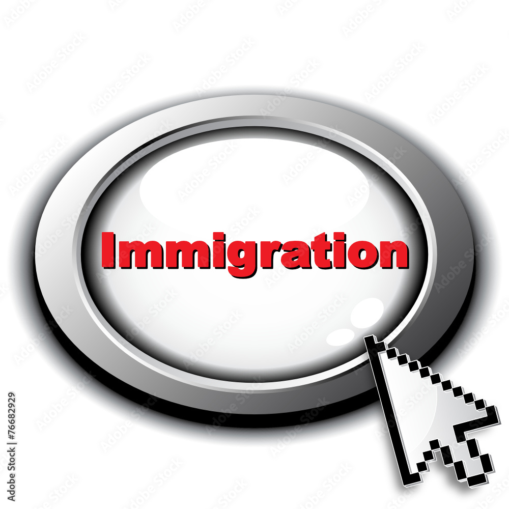 IMMIGRATION ICON Stock Vector | Adobe Stock