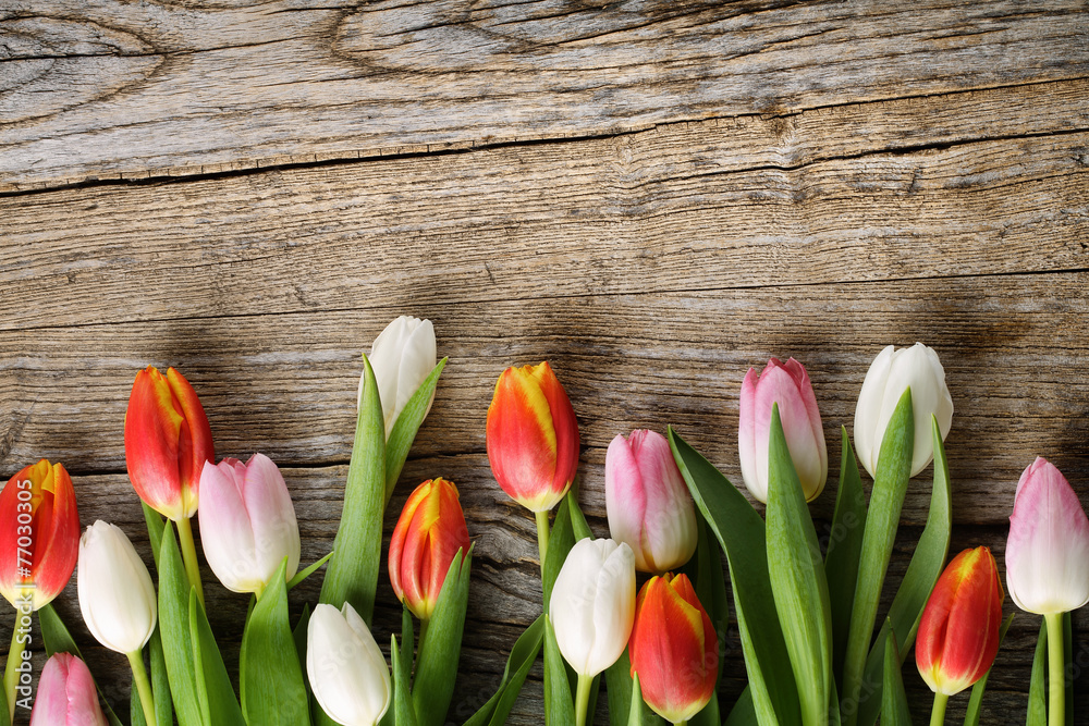 Tulips on wood background Stock Photo | Adobe Stock