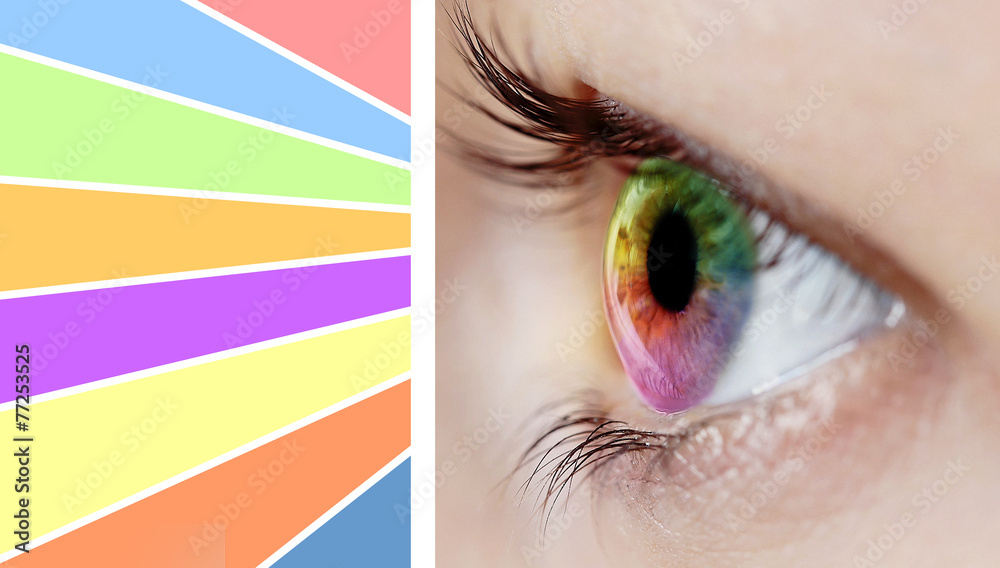 Collage of eye with color palette Stock Photo | Adobe Stock