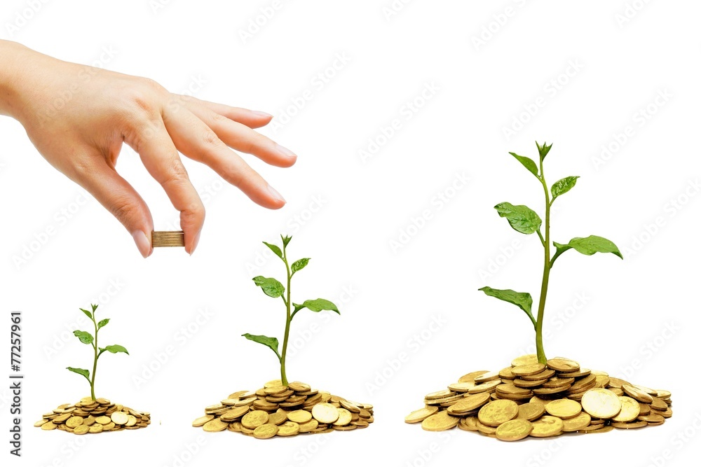 hand giving coins to trees growing on piles of golden coins Stock Photo ...