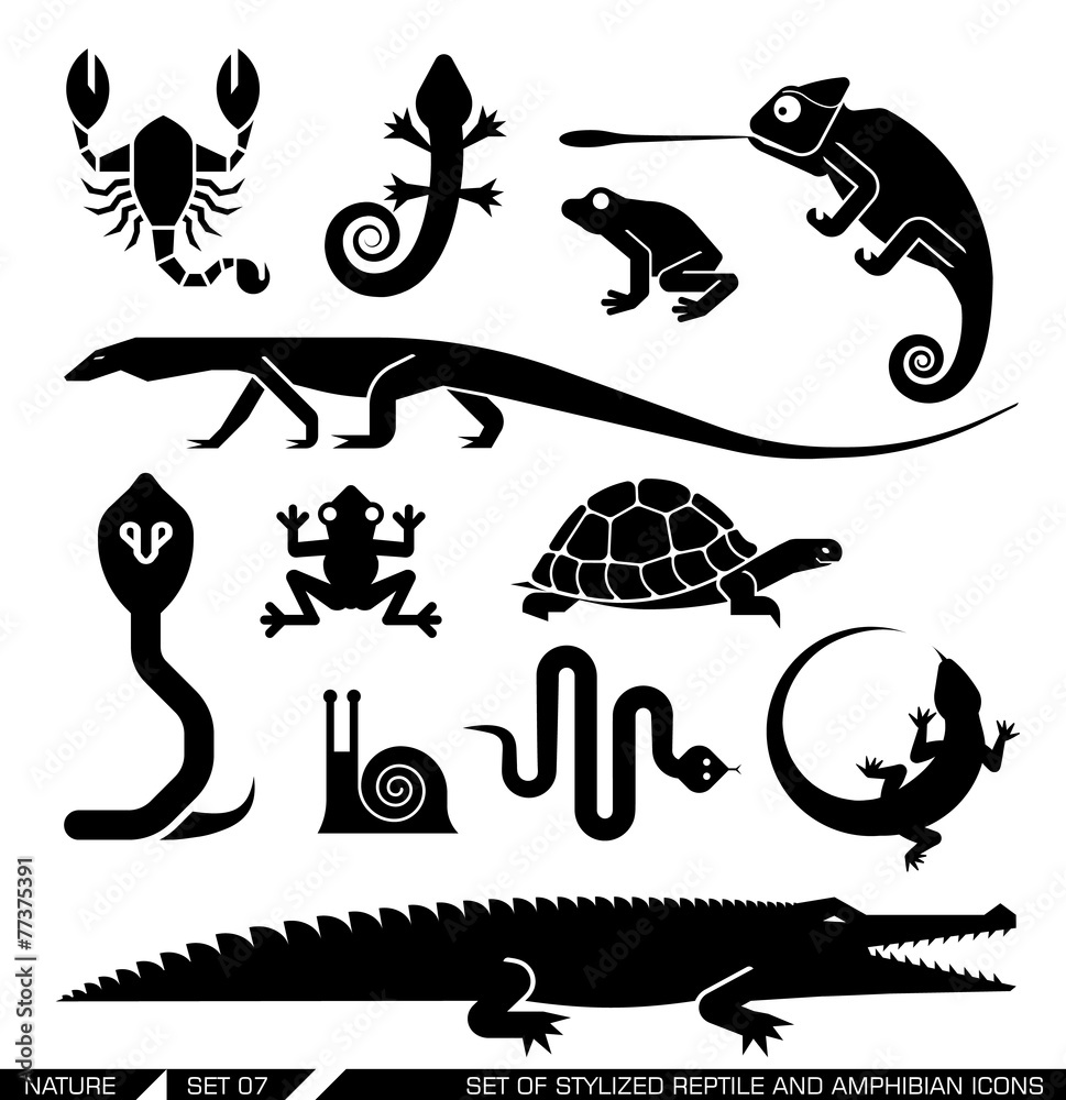 Set of geometrically stylized reptiles and amphibians icons Stock ...