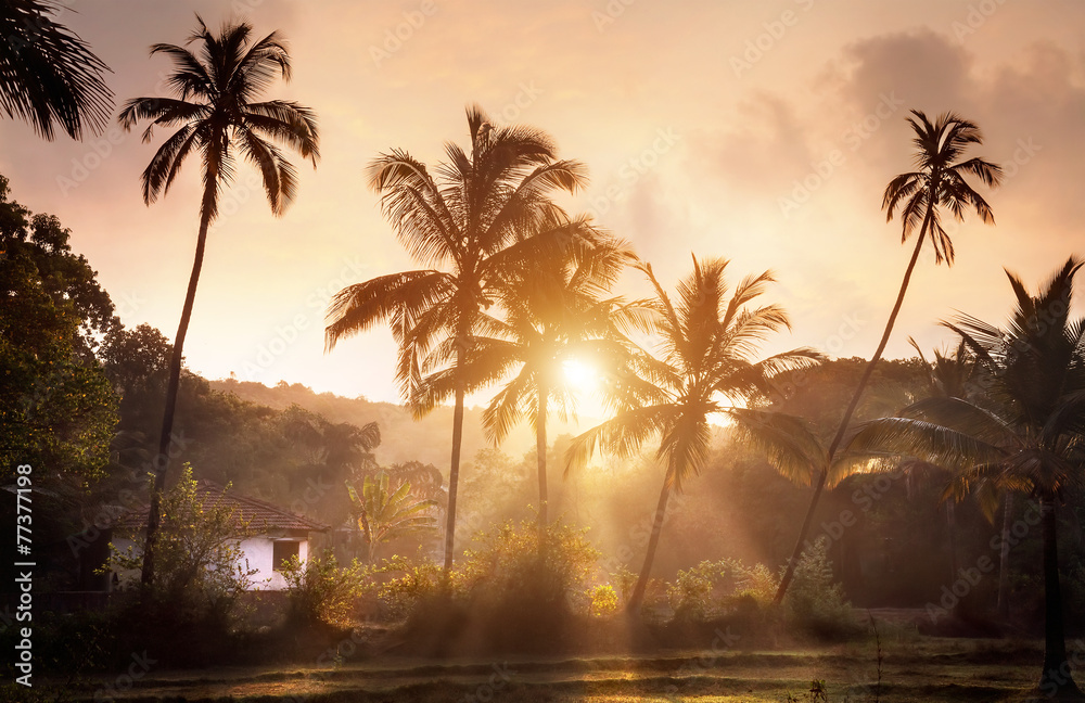 Tropical village in Goa Stock Photo | Adobe Stock