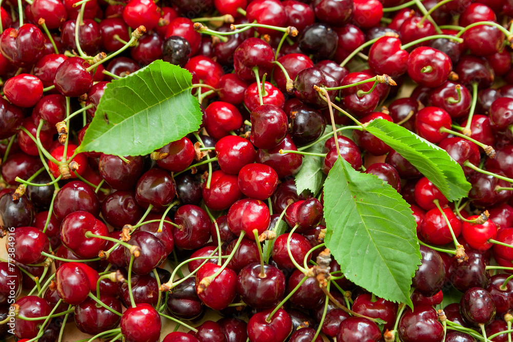 Kirschen Stock-Foto | Adobe Stock