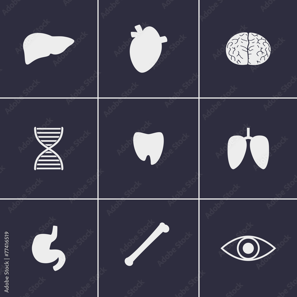 Viscera Icons Stock Vector | Adobe Stock