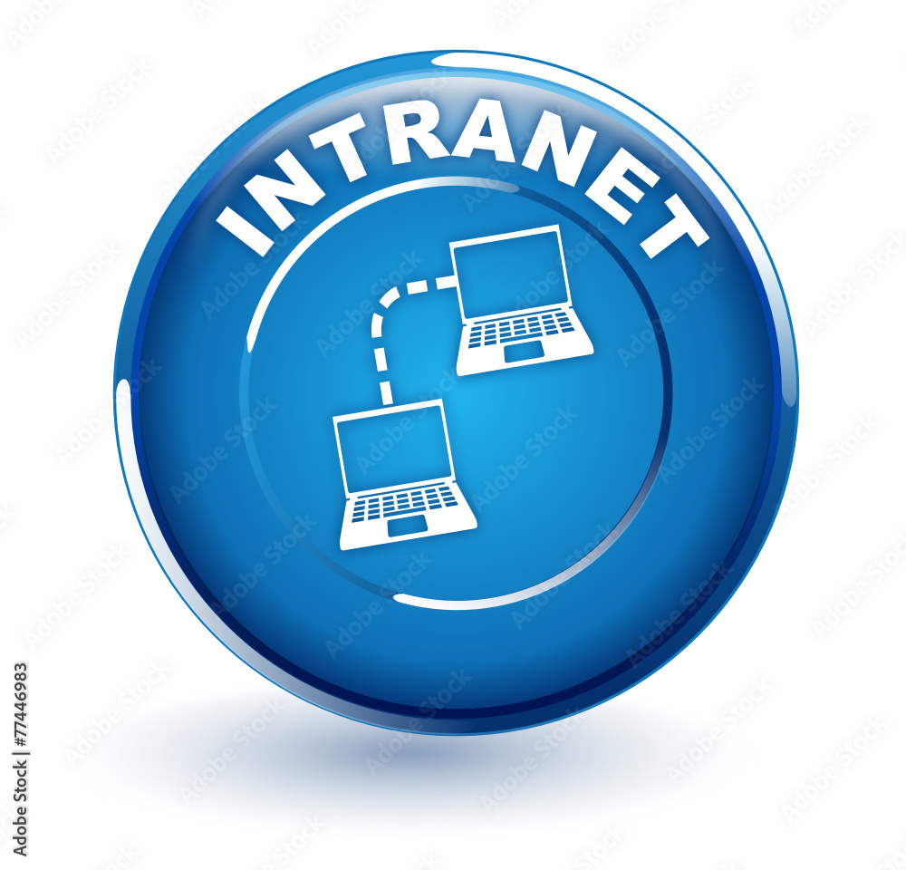 Vecteur Stock intranet sur bouton bleu | Adobe Stock