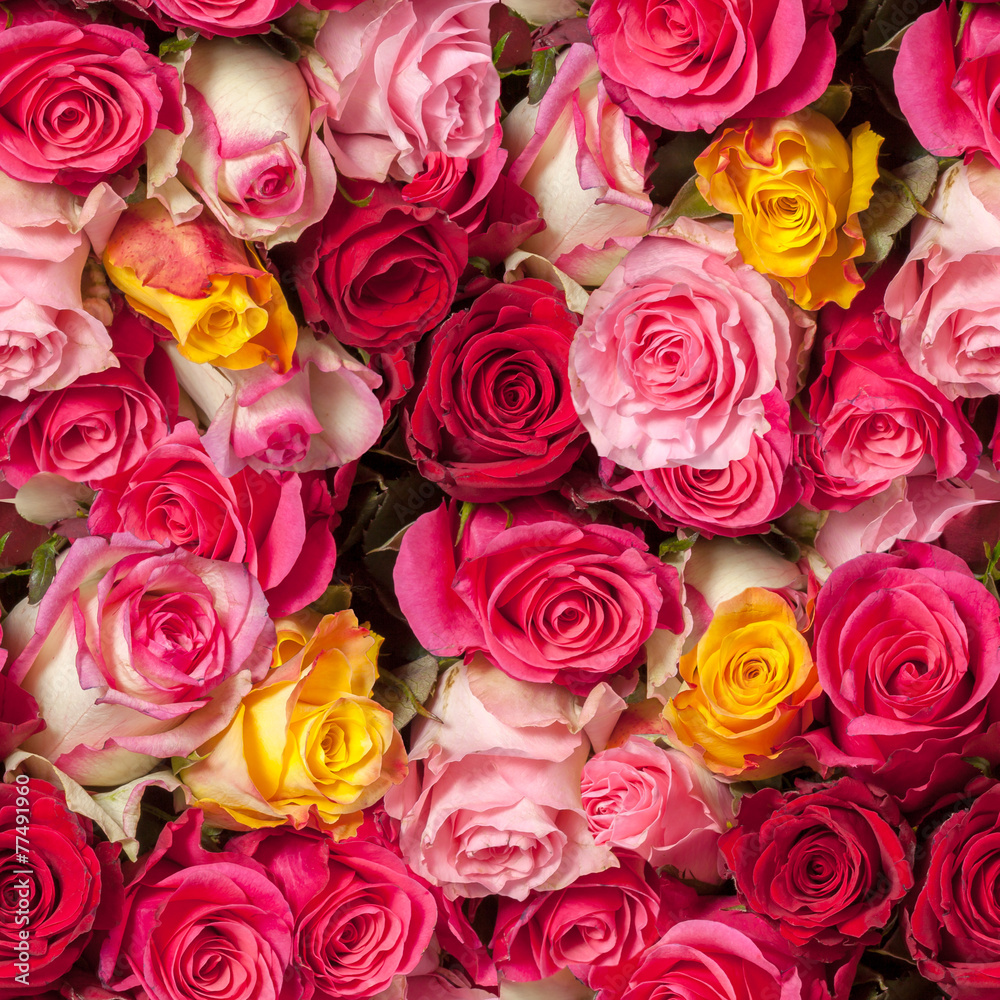seamless roses background Stock Photo | Adobe Stock