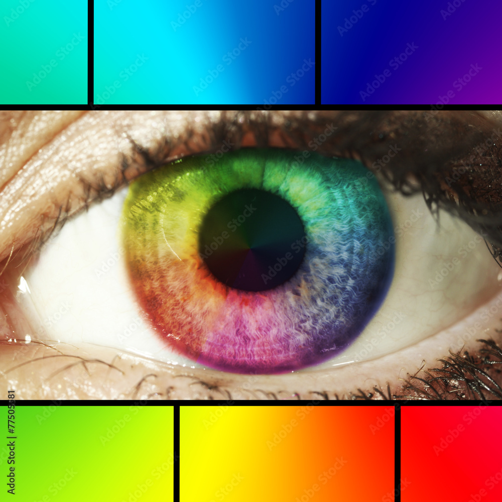 Collage of eye with color palette Stock Photo | Adobe Stock
