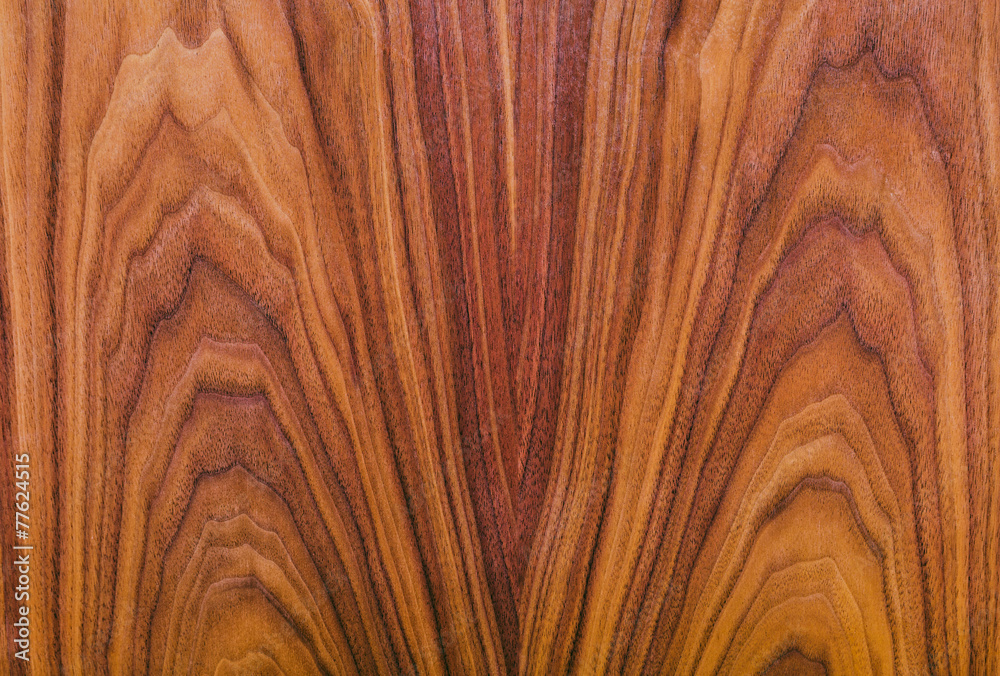 American walnut natural wood texture Stock Photo | Adobe Stock