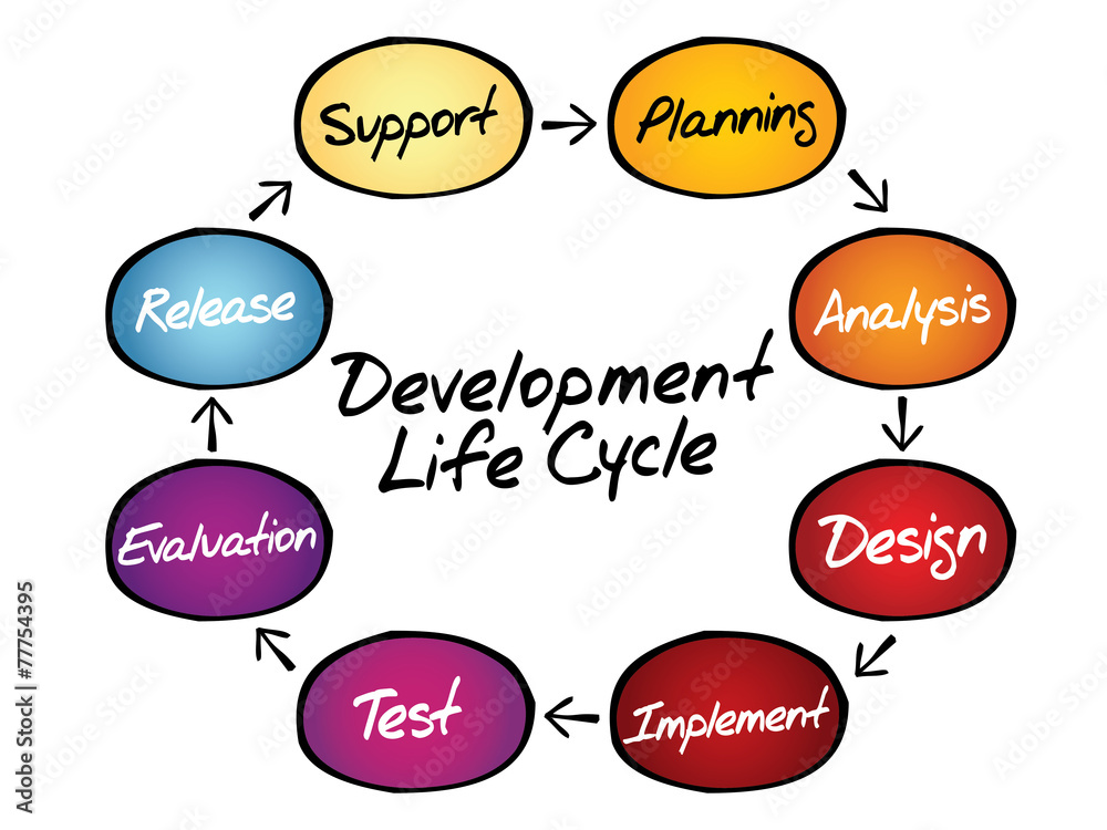 Circular flow chart of life cycle development process Stock Vector ...