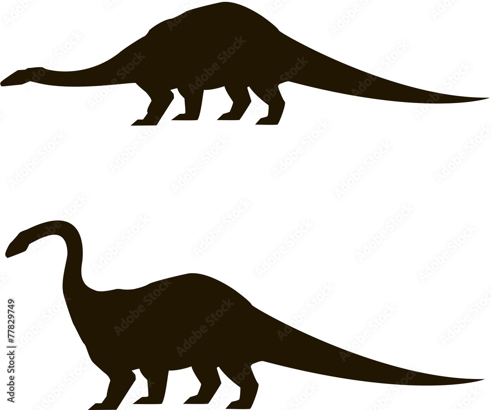 Diplodocus - two variations of the anatomy Stock Vector | Adobe Stock