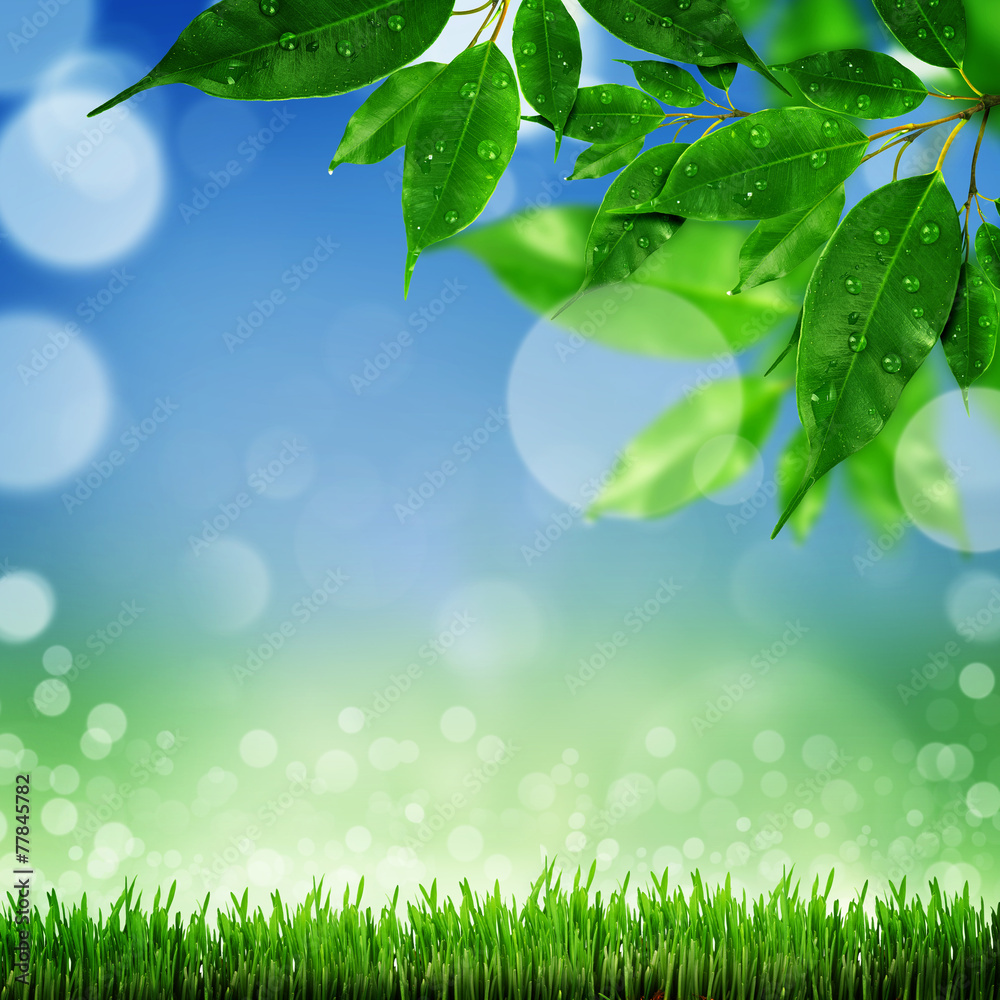 green and blue abstract defocused background with sunshine Stock Photo ...