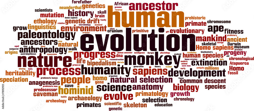Evolution word cloud concept. Vector illustration Stock Vector | Adobe ...