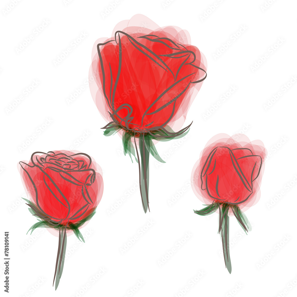 set of 3 roses vector Stock Vector | Adobe Stock
