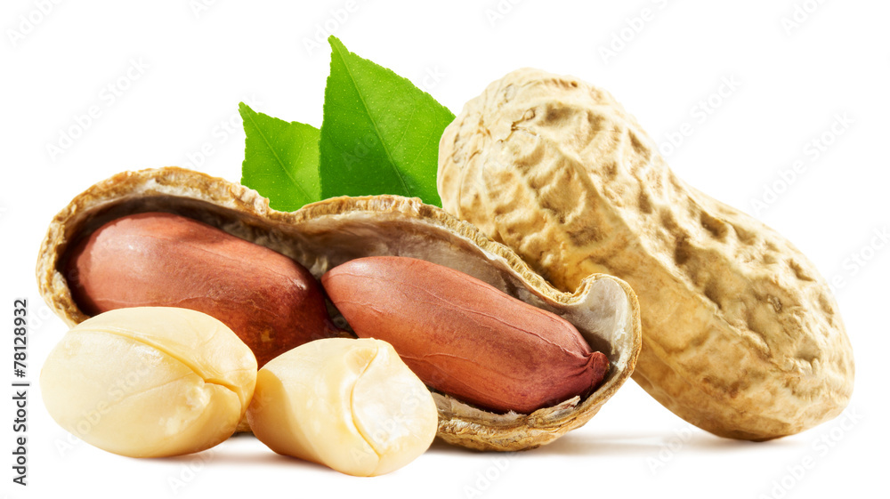 peanuts isolated on the white background Stock Photo | Adobe Stock
