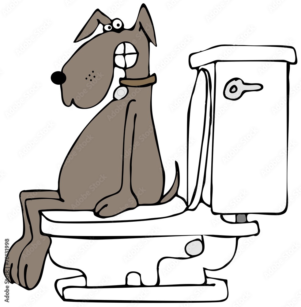 Dog on a toilet Stock-Illustration | Adobe Stock