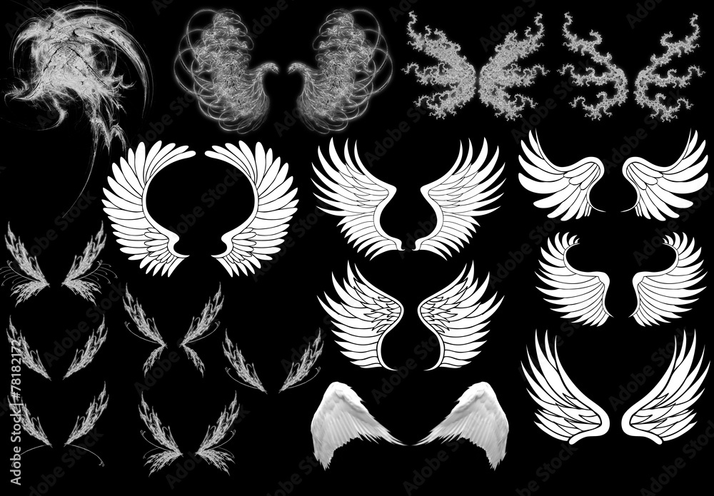 Samples of wings Stock Illustration | Adobe Stock