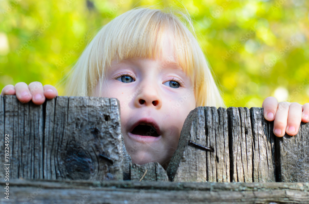 Cute little girl peering over a rustic fence Stock Photo | Adobe Stock