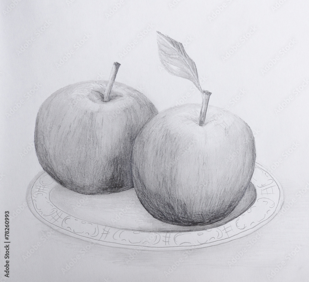 Plate Pencil Drawing