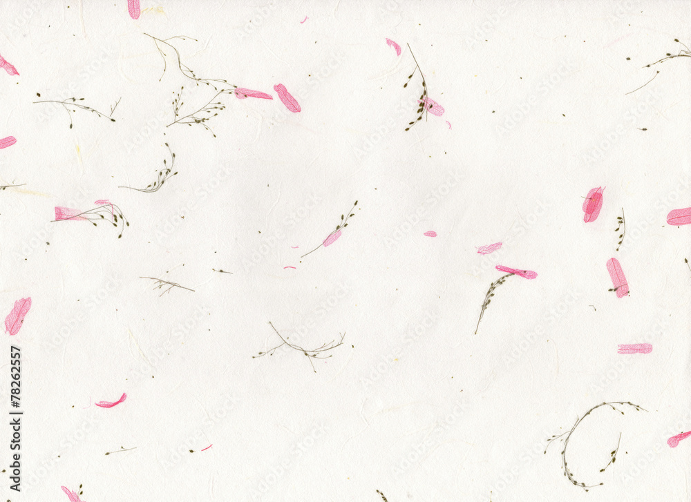 Old handmade paper texture background with dried flowers Stock Photo ...