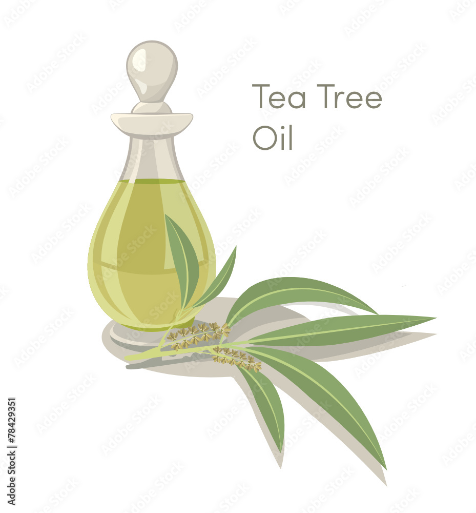 Tea tree oil illustration Stock Vector | Adobe Stock