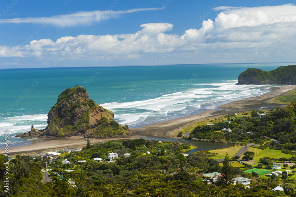Piha beach Stock Photo | Adobe Stock