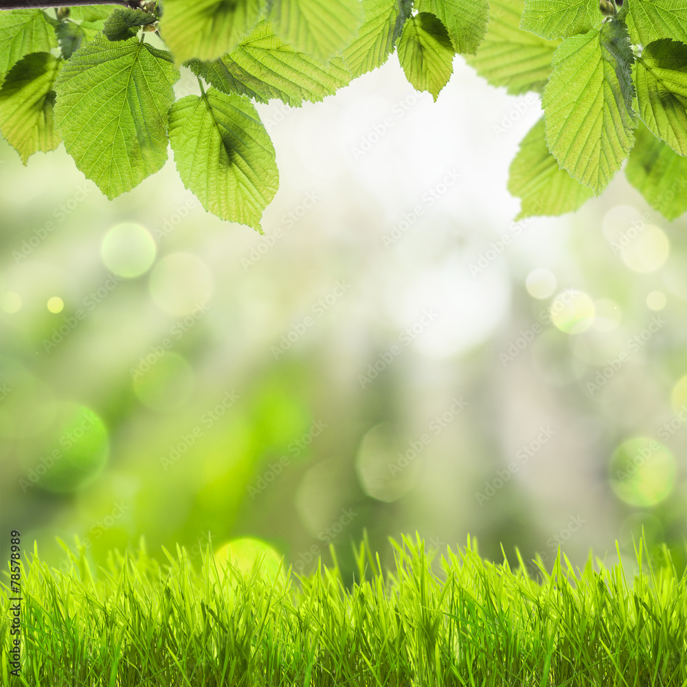 Spring background Stock Photo | Adobe Stock