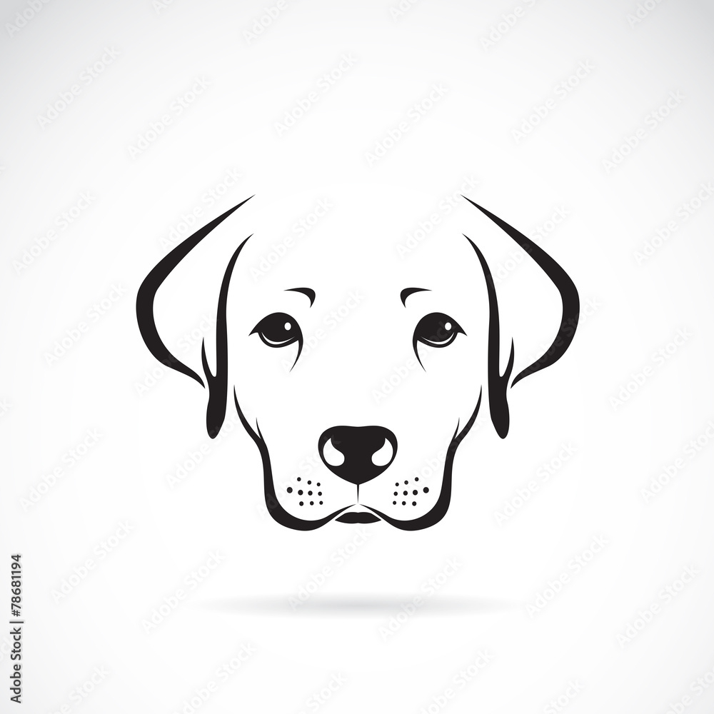 Vector of a dog labrador on white background. Pet. Animal. Stock Vector ...