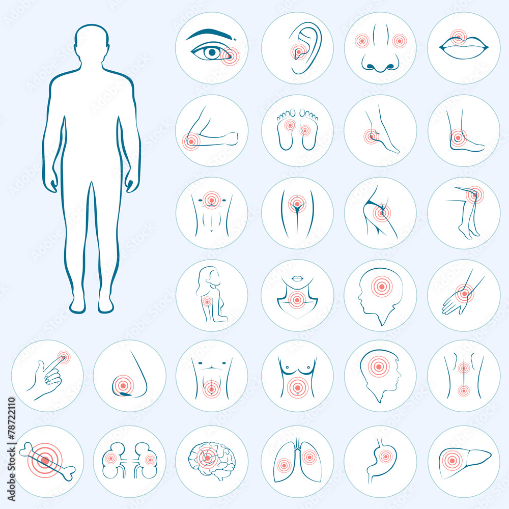 vector human anatomy, body pain, medical illustration Stock Vector ...