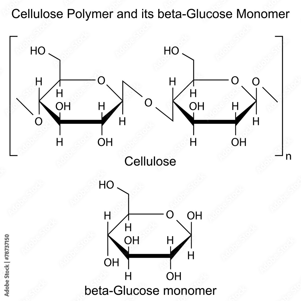 Structural Formula Of Cellulose