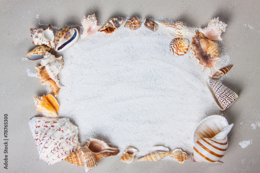 beach, summer, sea shells. Beautiful summer background texture Stock ...